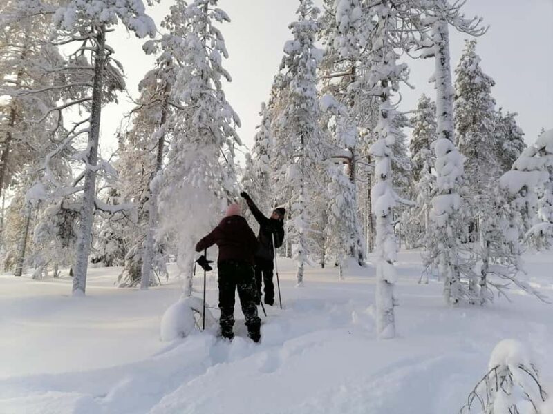 Rovaniemi: Private 3h Snowshoeing hike - An Authentic Arctic Wilderness in a Comfortable Setting