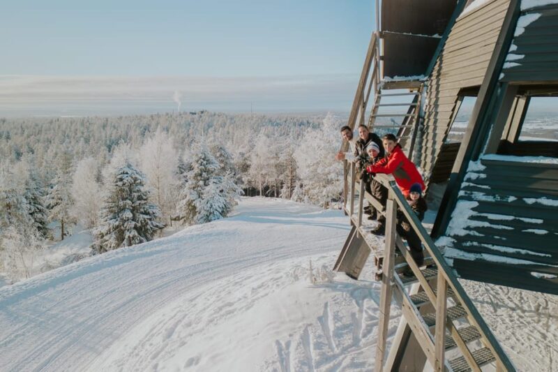 Rovaniemi: Private Holiday Photo Session in Rovaniemi - The Practicalities: Price, Duration, and Flexibility
