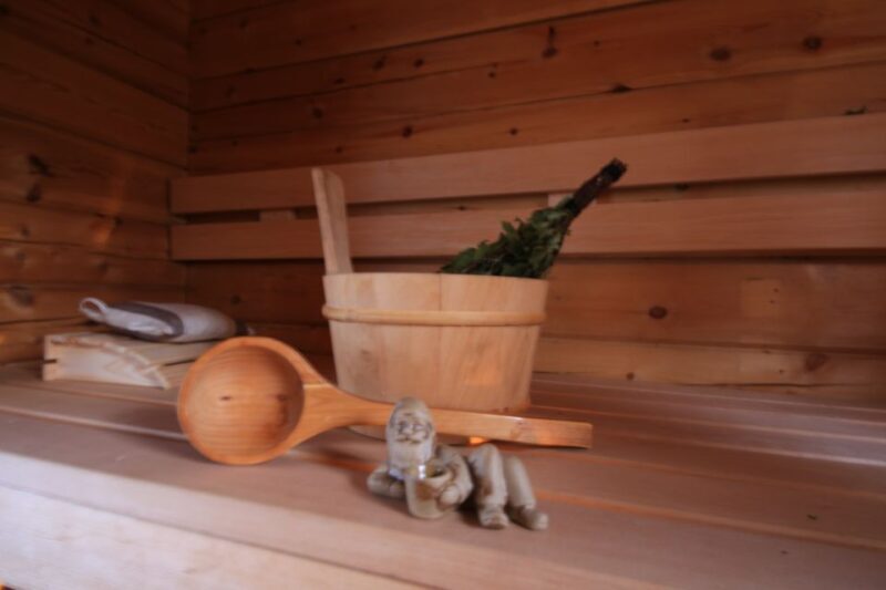 Rovaniemi: Private Sauna, Jacuzzi and Dinner - Key Points