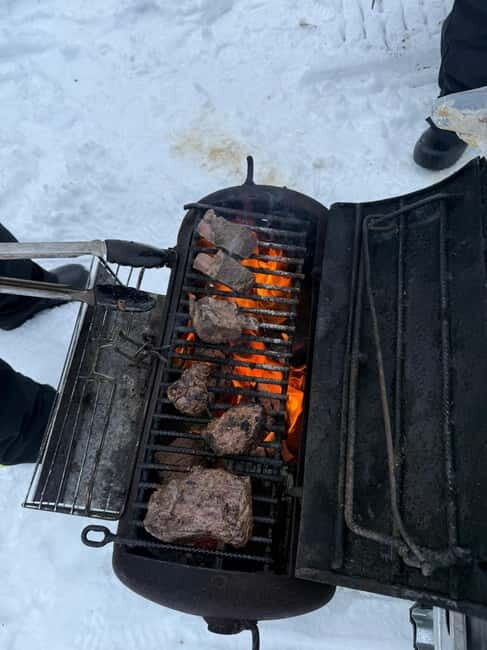 Rovaniemi: Private Snowmobile Trip in Lapland - Key Points