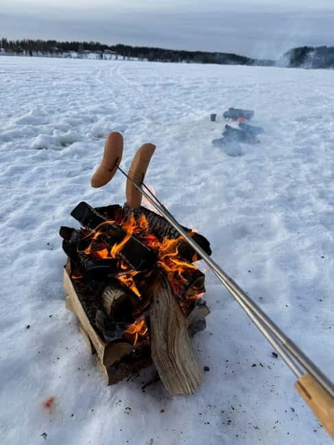Rovaniemi: Private Snowmobile Trip in Lapland - An Inside Look at the Rovaniemi Snowmobile Tour