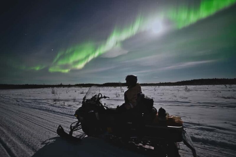 Rovaniemi: Private Snowmobile Trip With Local Guide - Key Points