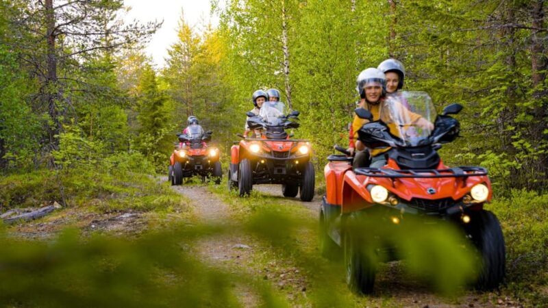 Rovaniemi: Quad Bike Wilderness Safari - Setting the Scene: The Wilderness of Lapland