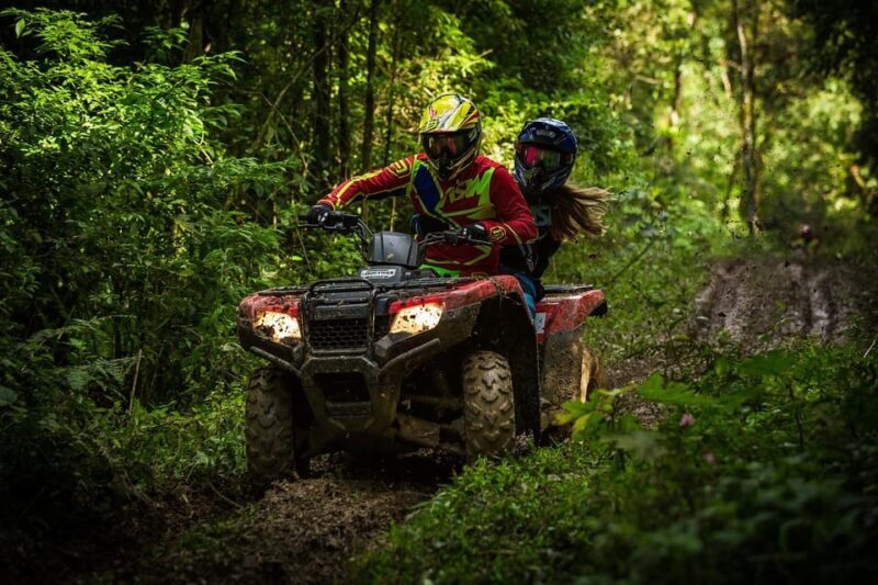 Rovaniemi: Quad Bike Wilderness Safari - What Youll Cover During the Tour