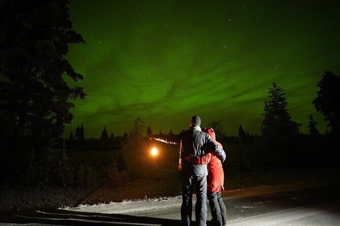 Rovaniemi RealNorthern Lights Photo Hunting - The Experience: What You Can Expect
