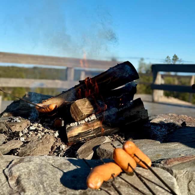 Rovaniemi: Reindeer Farm, Berry Picking, and Fire-Making - Who Will Love This Tour?