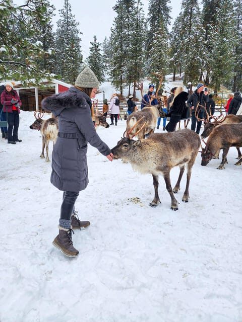 Rovaniemi: Reindeer Farm Visit and Sleigh Ride with transfer - Why This Tour Is a Great Choice