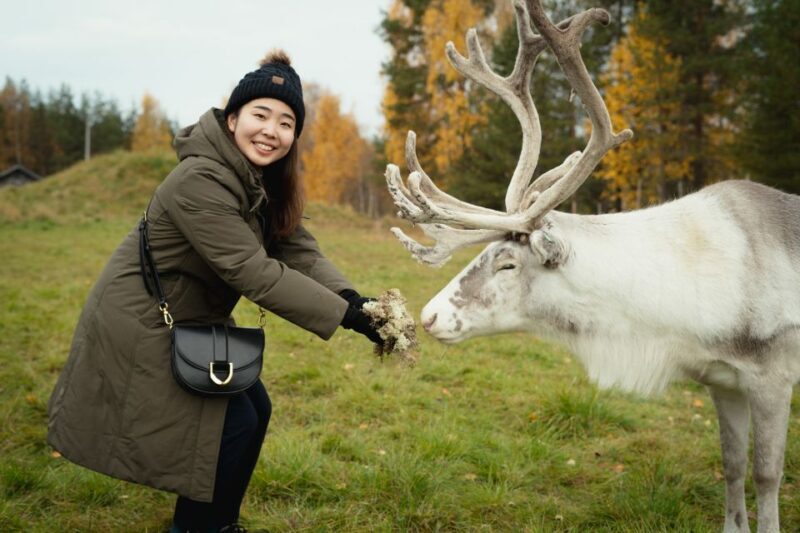 Rovaniemi: Reindeer Farm Visit with Photographer - Breaking Down the Itinerary