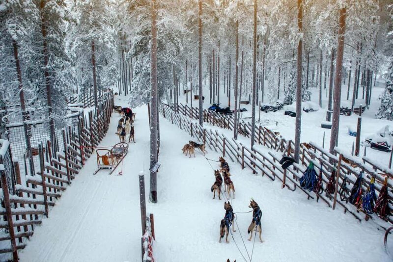 Rovaniemi: Reindeer & Husky Ride with Santa Claus Village - What’s Included & What to Keep in Mind