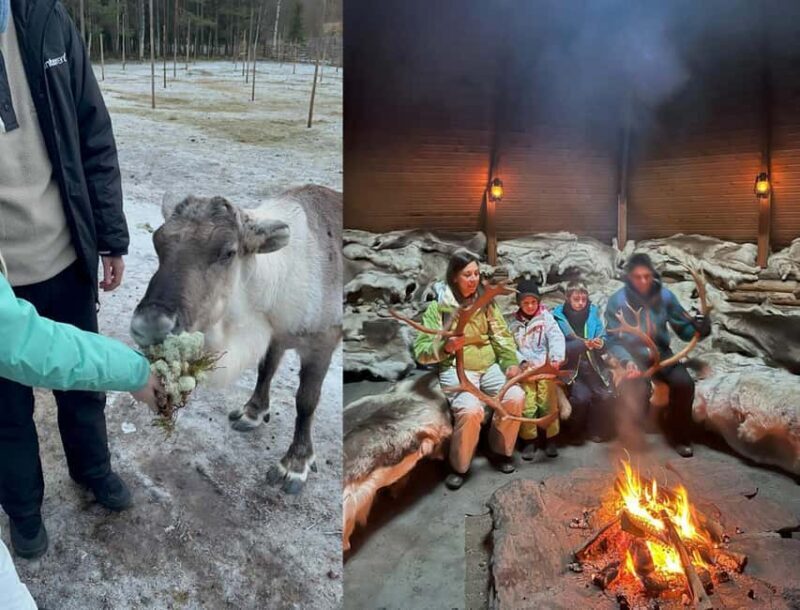 Rovaniemi: Reindeer & Husky Safari with Lunch - Who Should Consider This Tour?