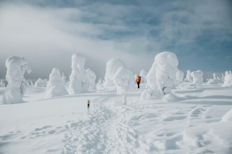 Rovaniemi: Riisitunturi and Korouoma Waterfalls Hiking Tour - A Day in the Arctic: What to Expect