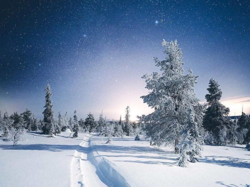 Rovaniemi: Riisitunturi Full-Day Wilderness Adventure & BBQ - Key Points