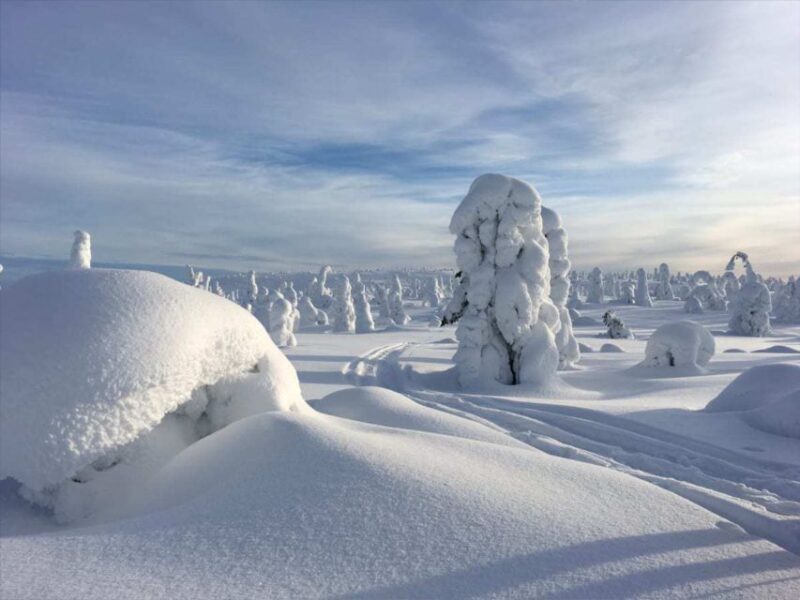 Rovaniemi: Riisitunturi Full-Day Wilderness Adventure & BBQ - Exploring Riisitunturi: An Authentic Lapland Wilderness