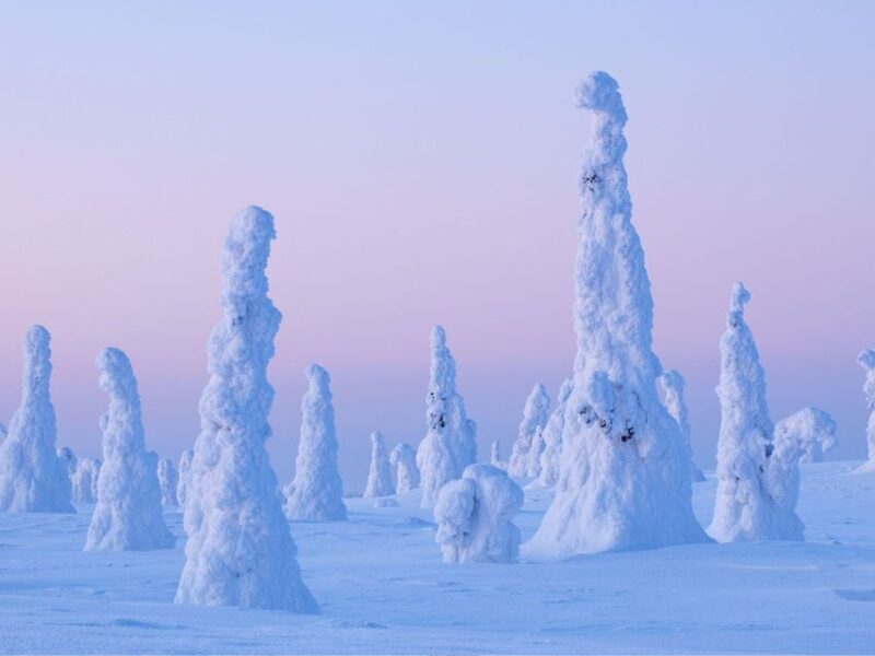 Rovaniemi: Riisitunturi Full-Day Wilderness Adventure & BBQ - Why This Tour Offers Good Value