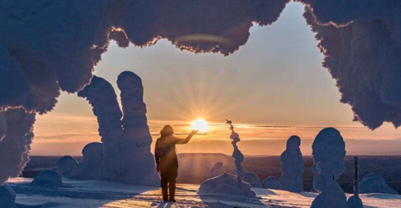 Rovaniemi: Riisitunturi Full-Day Wilderness Adventure & BBQ - The Sum Up