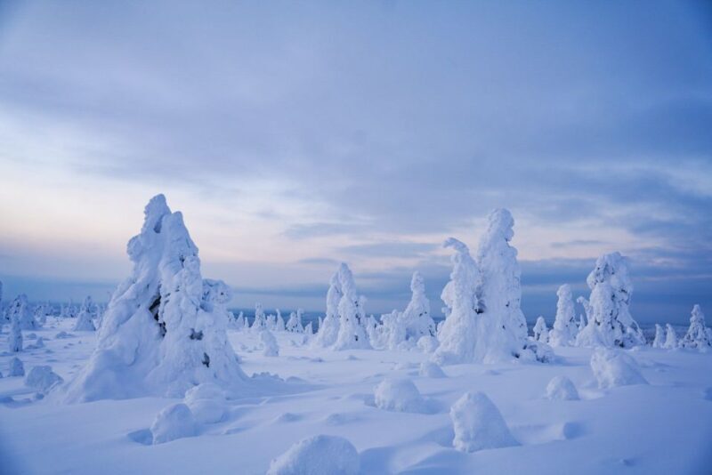 Rovaniemi: Riisitunturi National Park Day Trip with Lunch - Exploring Riisitunturi National Park: A Winter Wonderland