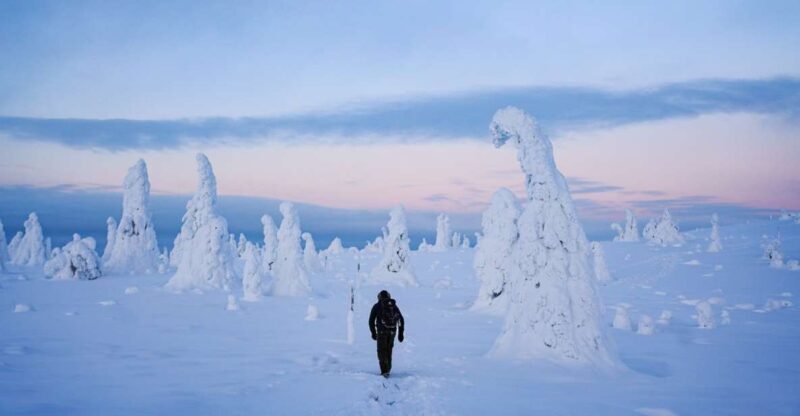 Rovaniemi: Riisitunturi National Park Day Trip with Lunch - Around the Fire: Food and Culture