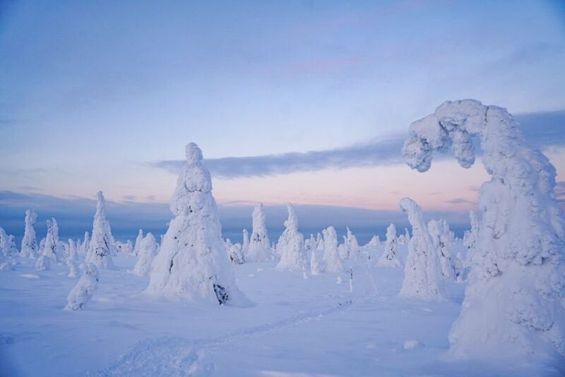 Rovaniemi: Riisitunturi National Park Day Trip with Lunch - Duration and Logistics