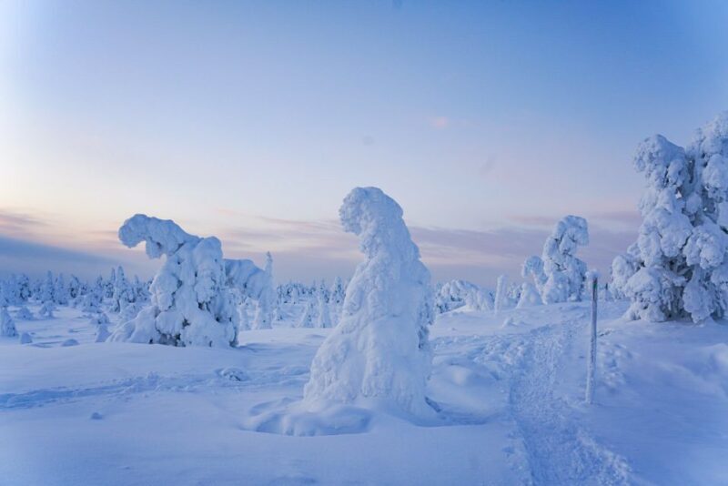 Rovaniemi: Riisitunturi National Park Day Trip with Lunch - Price and Value