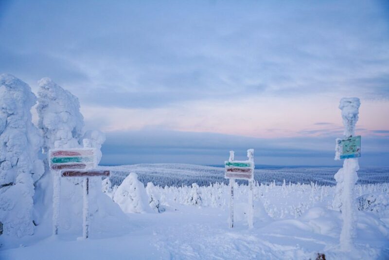 Rovaniemi: Riisitunturi National Park Day Trip with Lunch - Considerations