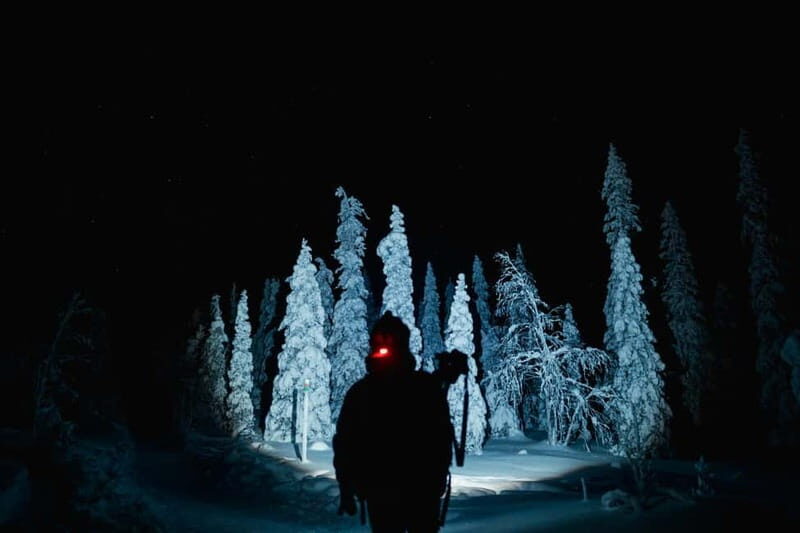 Rovaniemi: Riisitunturi National Park Night Photography Tour - Rovaniemi: Riisitunturi National Park Night Photography Tour – A Deep Dive into Finland’s Winter Wonderland