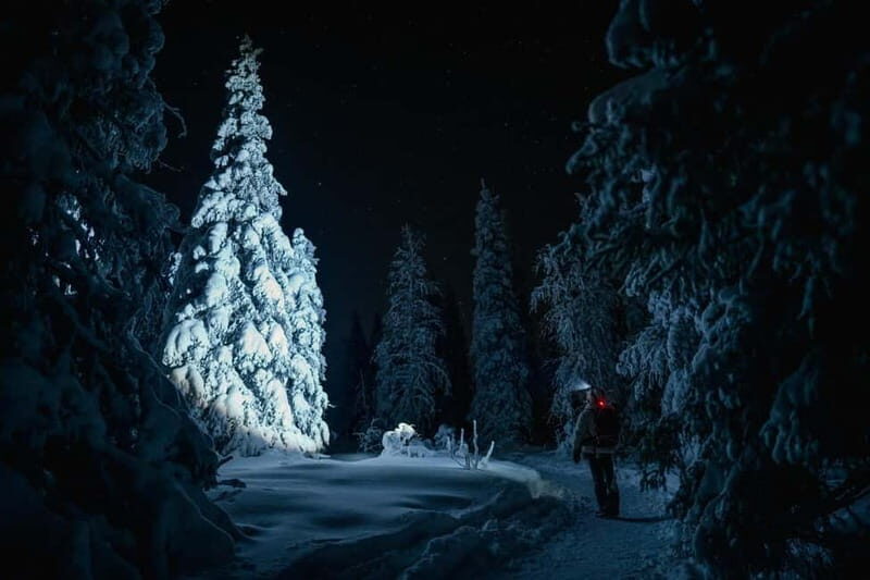 Rovaniemi: Riisitunturi National Park Night Photography Tour - The Itinerary: What You Can Expect