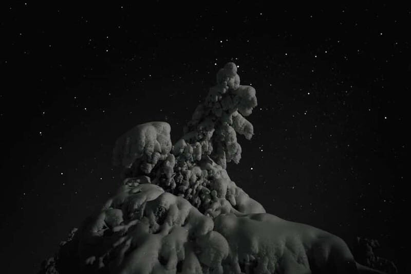 Rovaniemi: Riisitunturi National Park Night Photography Tour - What’s Included and What to Budget For