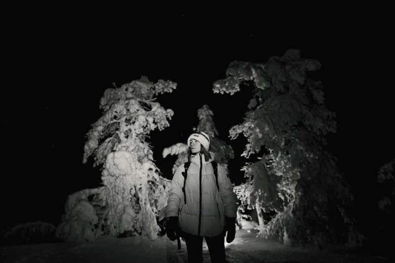 Rovaniemi: Riisitunturi National Park Night Photography Tour - In The Sum Up