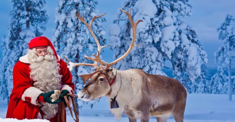 Rovaniemi: Santa Claus Village and Arctic Circle - What’s Included and How the Tour Unfolds