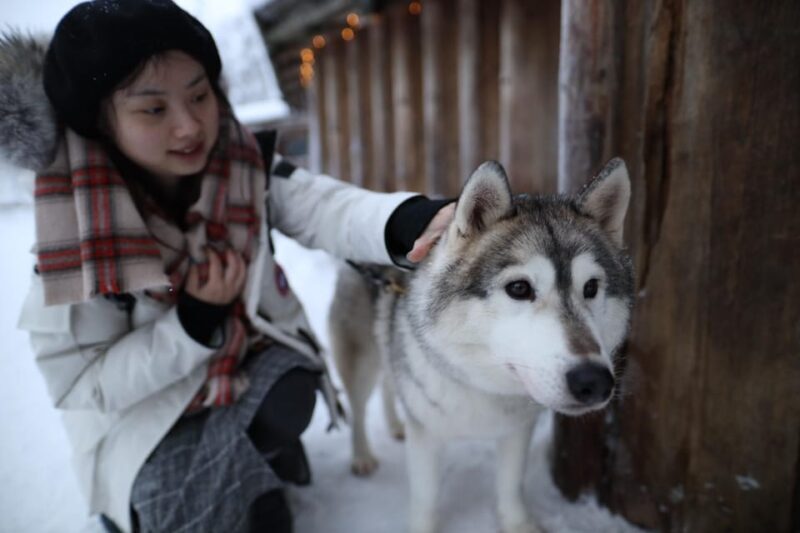 Rovaniemi: Santa Claus Village Tour Huskies & Reindeer ride - Who Will Enjoy This Tour?