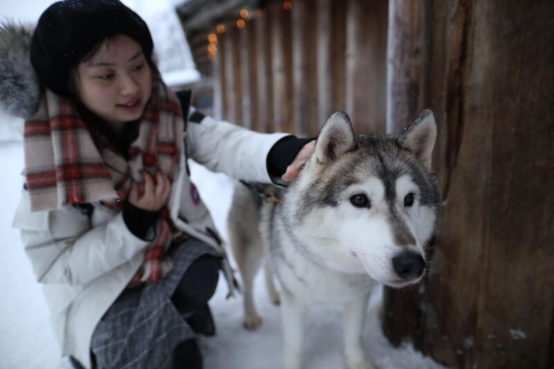 Rovaniemi: Santa Claus Village Tour Huskies & Reindeer Visit - The Sum Up