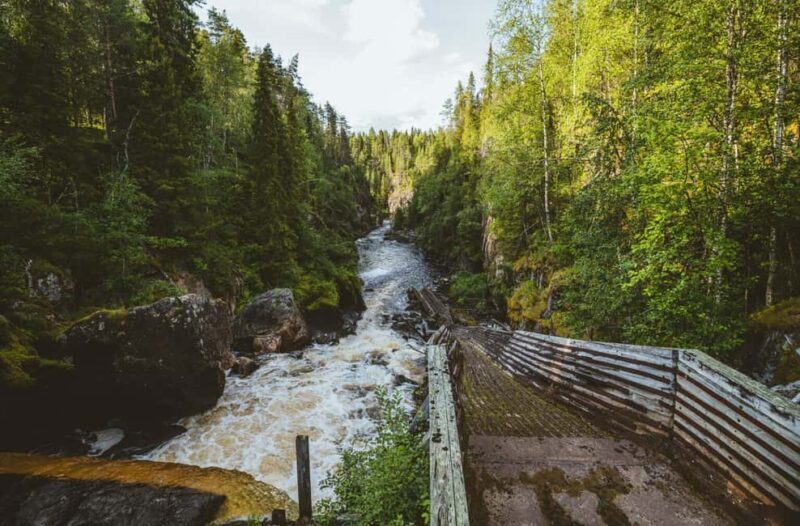 Rovaniemi: Santa Claus Village, Zoo, and Waterfalls Tour - The Sum Up