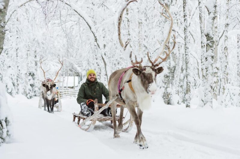 Rovaniemi: Santa's Village, Husky, & Reindeer Sled Ride - The Value of This Tour