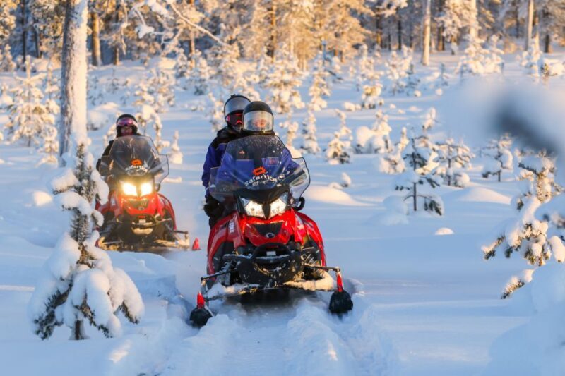 Rovaniemi: Santas Village & Snowmobiling to Reindeer Farm - Is It Worth the Price?