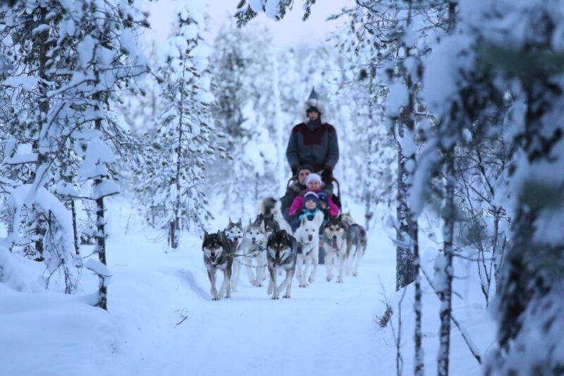 Rovaniemi: Self-Drive Husky Sleigh Ride Adventure - FAQ