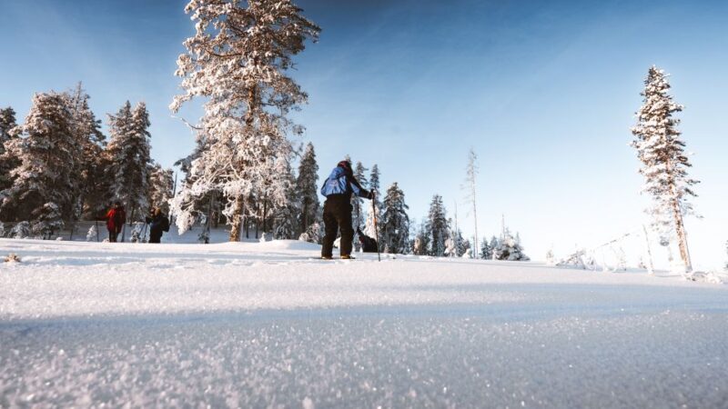 Rovaniemi: Ski Trekking Safari in Lapland - Setting the Scene: Lapland’s Wilderness