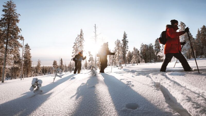 Rovaniemi: Ski Trekking Safari in Lapland - Who Will Love This Tour