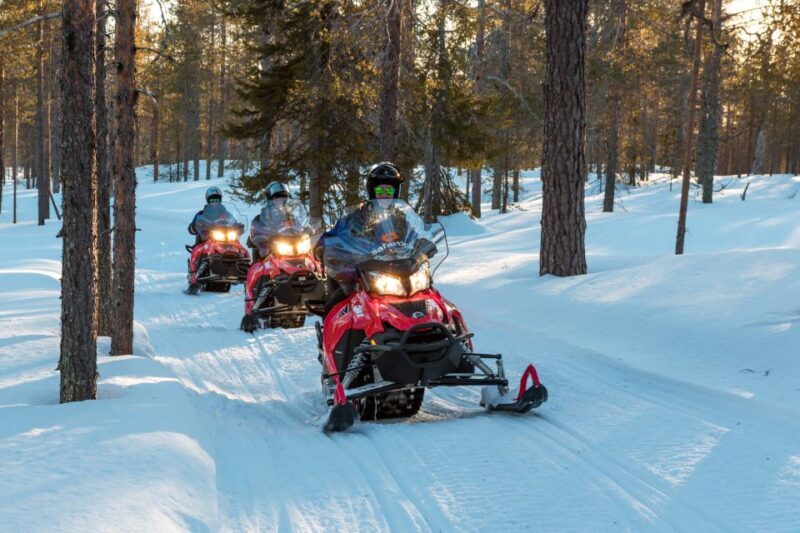 Rovaniemi: Snowmobile and Ice Fishing Adventure with Lunch - Who Will Love This Tour?