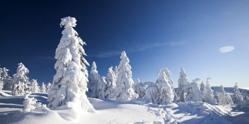 Rovaniemi: Snowmobile Safari Adventure - Key Points