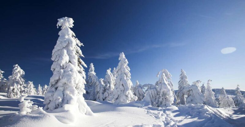Rovaniemi: Snowmobile Safari Adventure - Why This Tour Offers Good Value