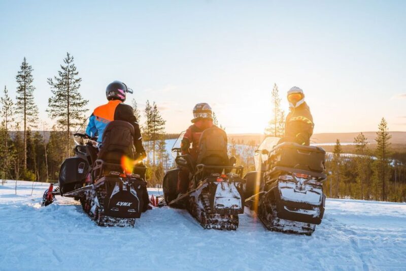 Rovaniemi: Snowmobile Safari Adventure - Who Will Love This Tour?