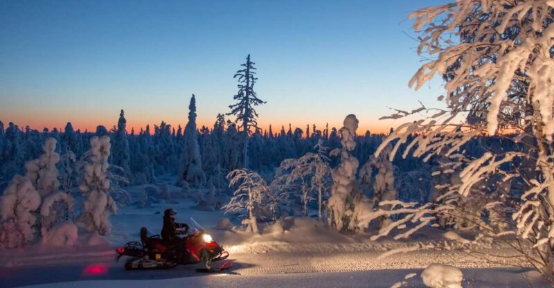 Rovaniemi: Snowmobile Safari & Campfire Evening Escape - The Breakdown of the Experience in Detail