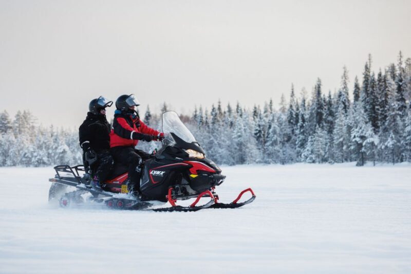 Rovaniemi: Snowmobile Safari in the Arctic Circle - Experience Overview