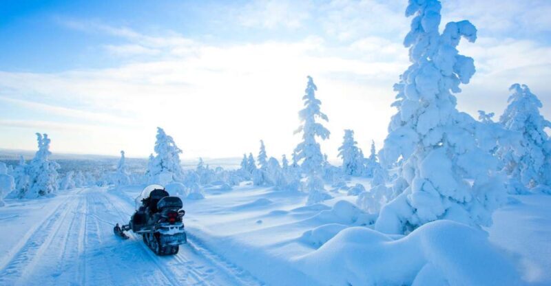 Rovaniemi: Snowmobile Safari in the Arctic Circle - Who Will Love This Experience?