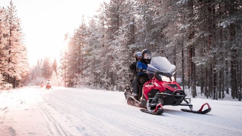 Rovaniemi: Snowmobile Safari into the Arctic Circle Forest - Who Should Consider This Experience?