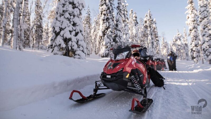 Rovaniemi: Snowmobile Safari into the Arctic Circle Forest - FAQ