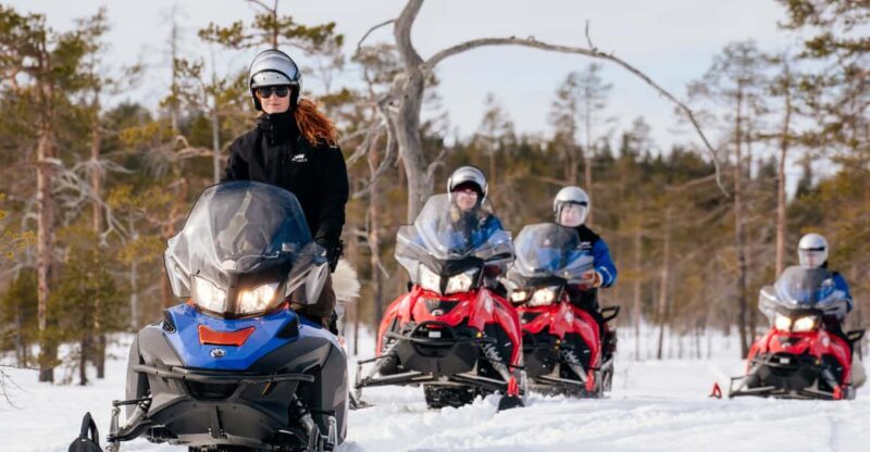 Rovaniemi: Snowmobile Safari into the Wilderness - Authentic Wilderness and Scenic Highlights