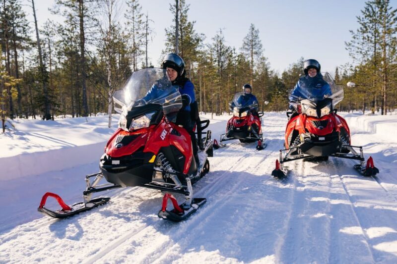 Rovaniemi: Snowmobile Safari into the Wilderness - Authentic Travel Reviews