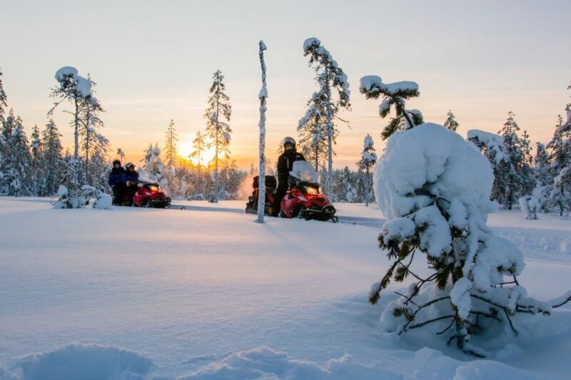 Rovaniemi: Snowmobile Safari to a Reindeer Farm - Exploring the Itinerary: What You Can Expect
