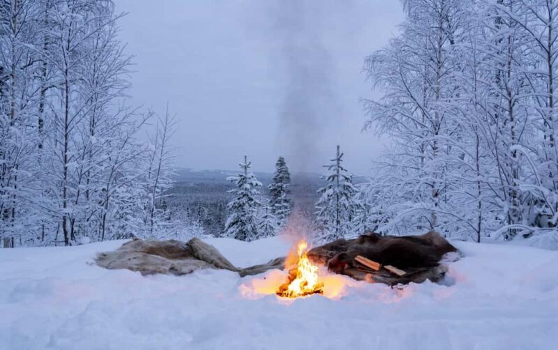 Rovaniemi: Snowmobile Sleigh Ride with Campfire Coffee - What to Expect: A Step-by-Step Breakdown